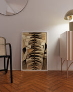 Spine chiropractor orthopedic art: Chiropractic and Orthopedic Spine ...