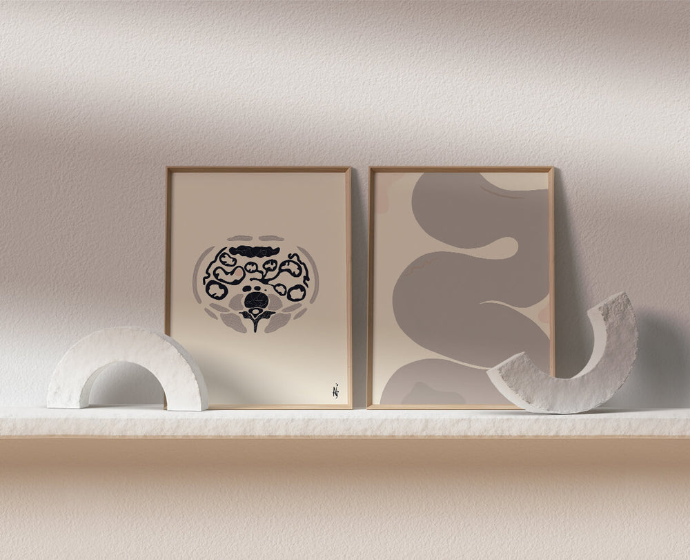 Abdomen anatomy art print -Gastroenterology artwork